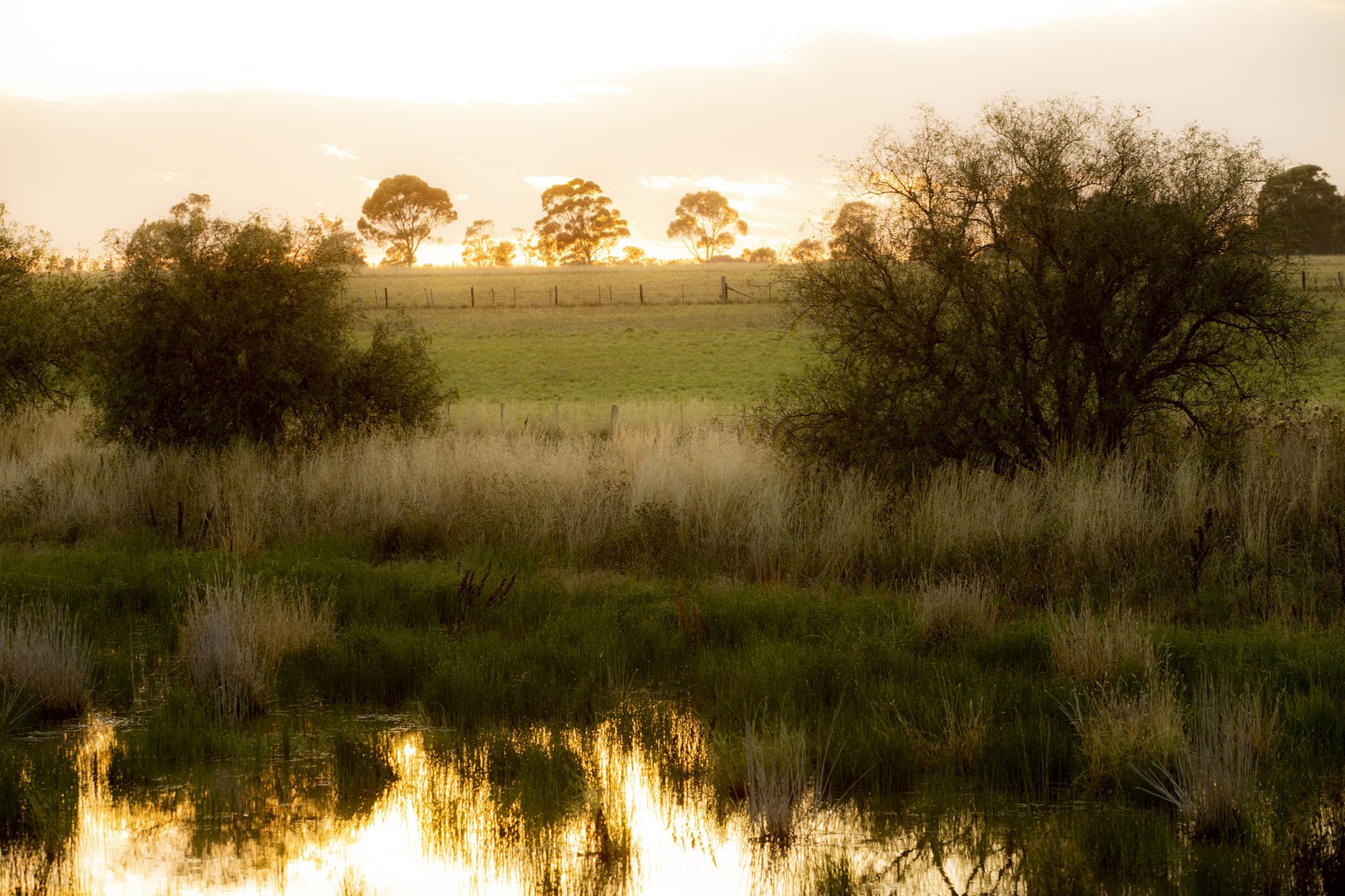 Ellerton Life – At the heart of the new west